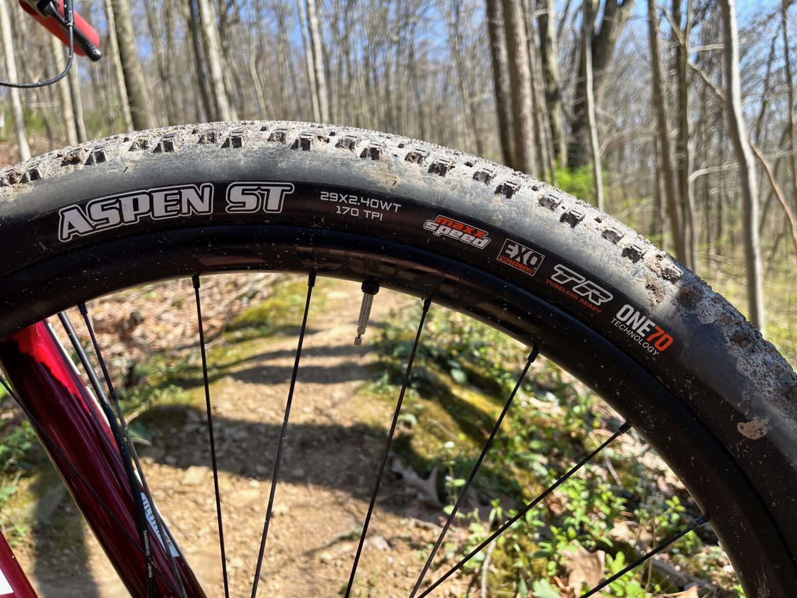 Recensione: le specifiche del Maxxis Aspen ST Team valevano l'attesa ...