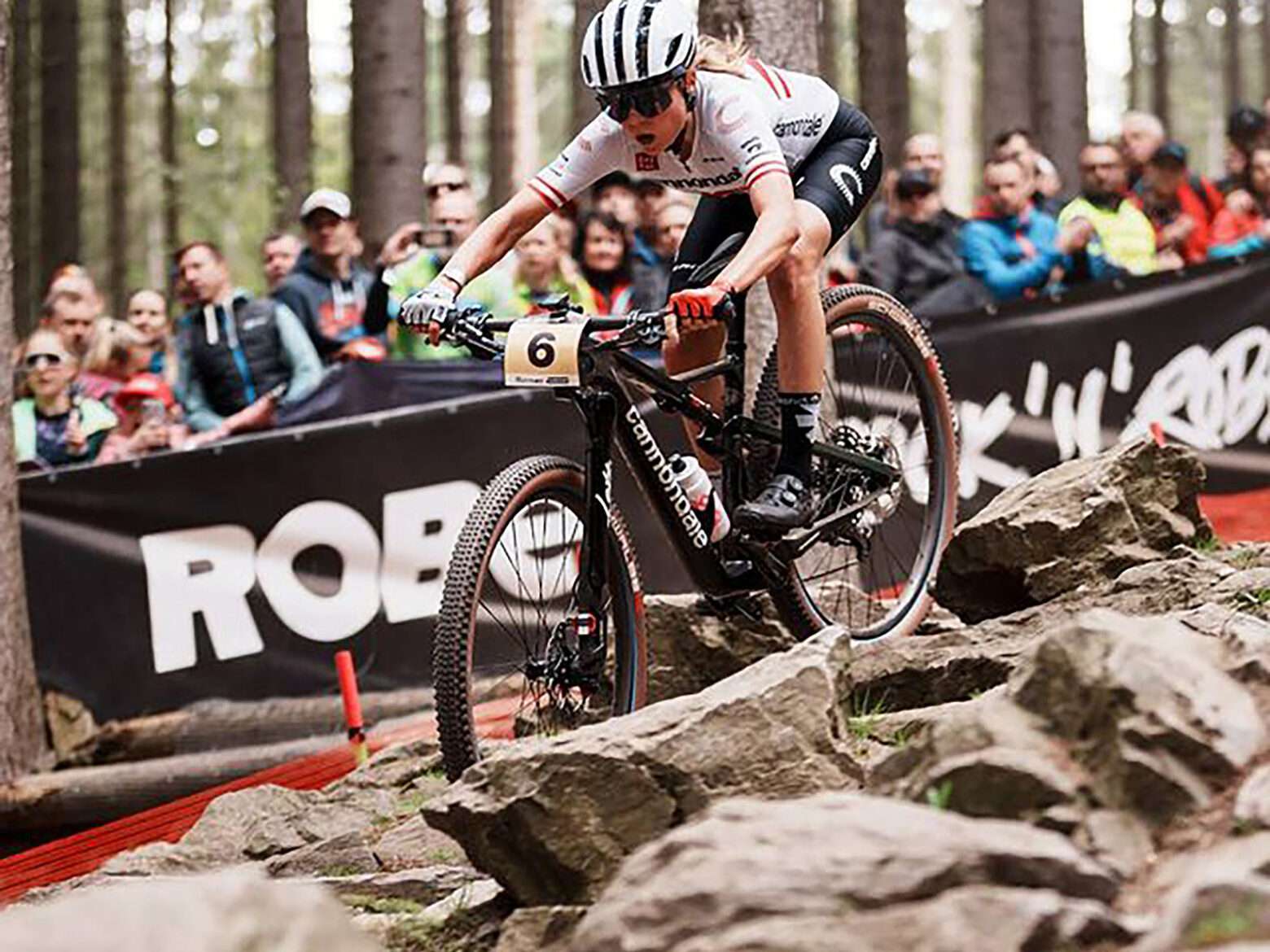 Schwalbe Rick XC è il nuovo pneumatico In-Between Race - Anguria Bike